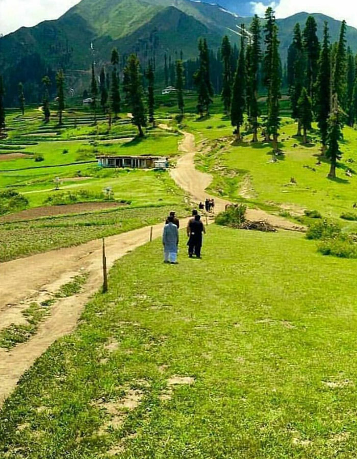 | Hunza Gilgit Land For Sale